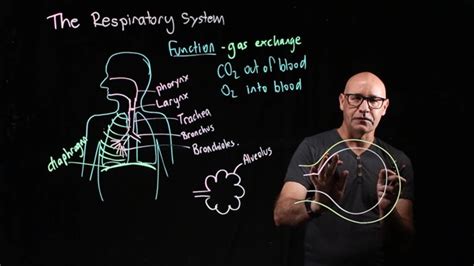 Embedded Online Player Clickview