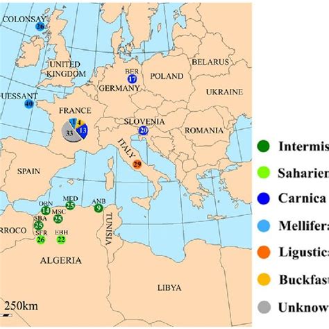 Sequence Numbers By Locations Number In Each Circle Represents The Download Scientific Diagram