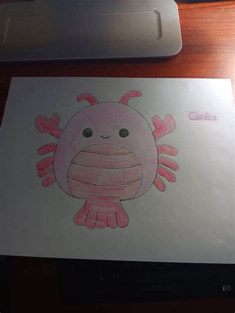 Drawing Of Cordea From Squishmallows By Cubchoo62 On Deviantart