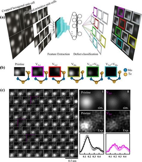 Atomic Level Defect Modulation And Characterization Methods In 2d