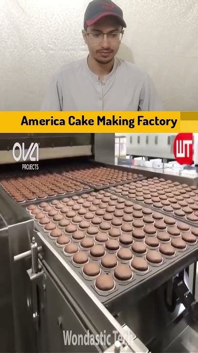 How Cake Is Made In Factory Food Factory Birthdaycake Shorts Youtube