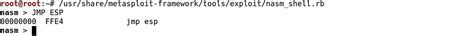 Buffer Overflow Tutorial Part 4
