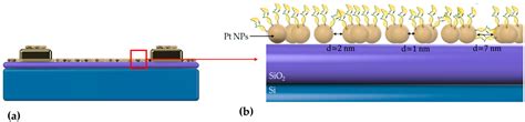 Biosensors Free Full Text Non Faradaic Impedimetric Detection Of