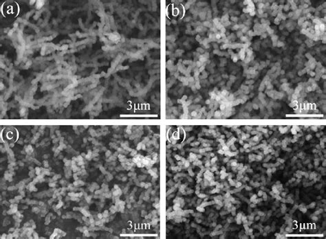 SEM Images Of Zeolite Samples Obtained From The Synthesis Mixture With Download Scientific