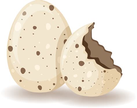 Egg Shell Cracking On White Background 7109409 Vector Art At Vecteezy