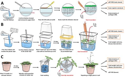 Inoculation Methods In Microbiology Wiyoi