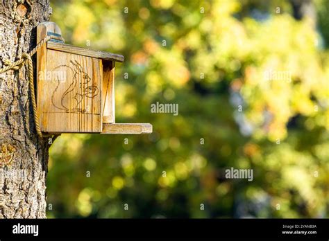 Squirrel Feeder Attached To A Tree Trunk In A Park Squirrel House In