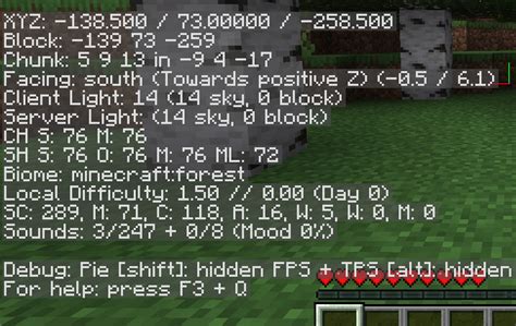 How To View The Coordinates In Minecraft