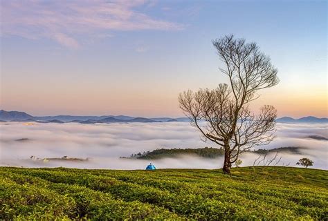 Mastering The Sql Order By Clause Sorting Data Efficiently