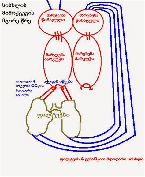 მასწავლებლის ბლოგი