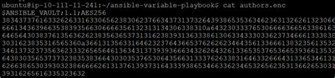 How To Leverage Ansible Variables In Roles And Playbooks