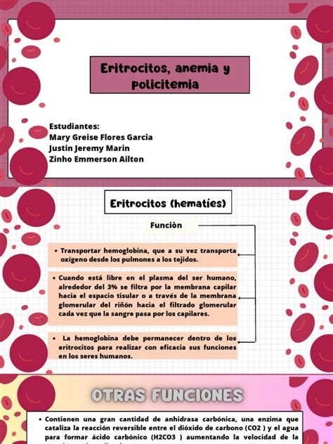 Capìtulo 33 Eritrocitos Anemia Y Policitemia Grupo 1 Pdf Sangre Glóbulo Rojo