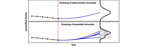 Schematic Representation Of The Dressing Procedures The Vertical Red Download Scientific