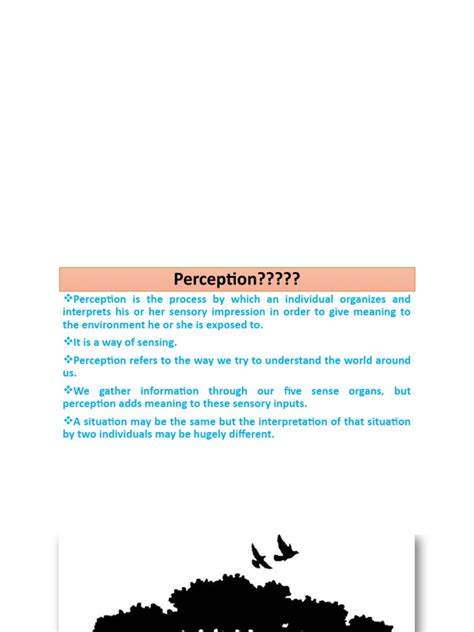 perception pdf decision making perception