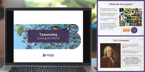 Taxonomy Explained صمم من قبل مختصين