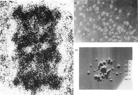 Electron Microscopy Of Negatively Stained Rat Liver Mcp Preparations