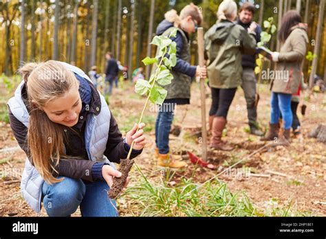 Girl With Tree Seedling As Climate Change Tree For Sustainable Reforestation In Forest Stock