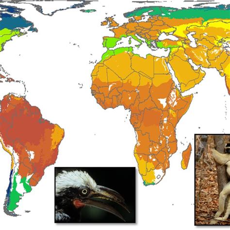 Pdf Historical And Contemporary Factors Govern Global Biodiversity Patterns