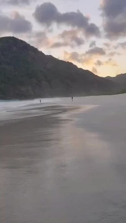 Slice Meme By Thetoxicfrog Memedroid