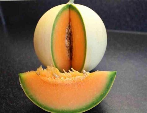 Honeymoon Melon Melons Wiki Fandom