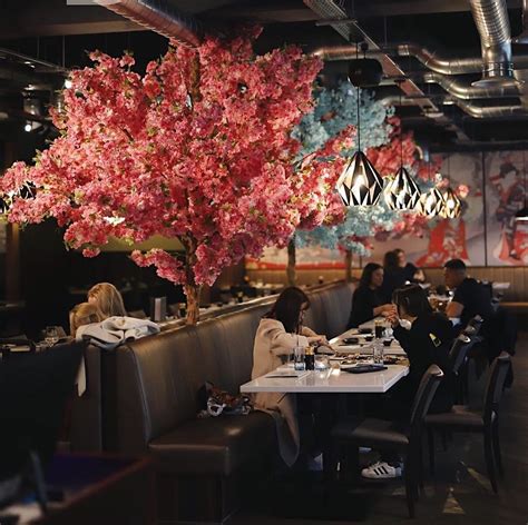 Contact Us Blue Sakura