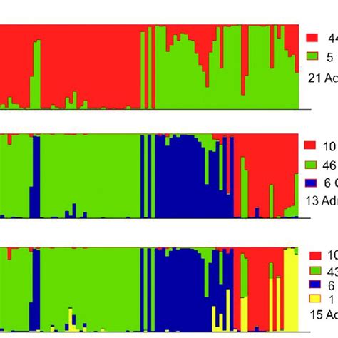 Model Based Population Structure Of 96 Capsicum Accessions At K 2 To Download Scientific