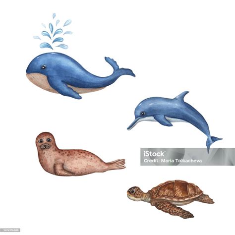고래 돌고래 물개 흰색 배경에 격리된 거북이가 있는 수채화 바다 아기 섬유 벽지 보육 장식 카드 배경 기념품 직물 포장 만화 스타일 갈색에 대한 스톡 벡터 아트 및 기타
