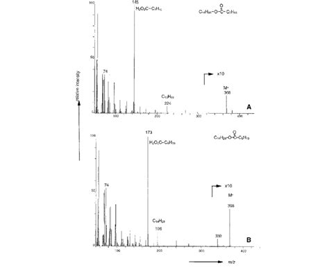 Mass Spectra Corrected For Background Of Two C Wax Esters A Download Scientific Diagram