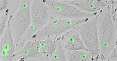 Molsid Launch New In Vivo Gps