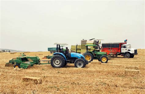 Organic Fertilizer Nourish Your Garden The Natural Way