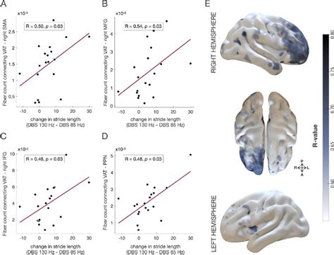 Region Of Interest Roi Based Analysis And Whole Brain Structural