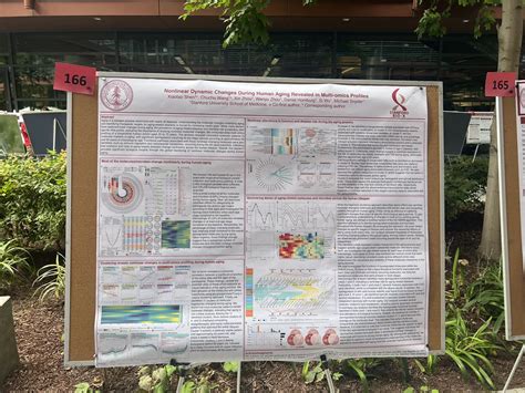 2023 9 1 xiaotao shen presented the nonlinear aging work on 2023