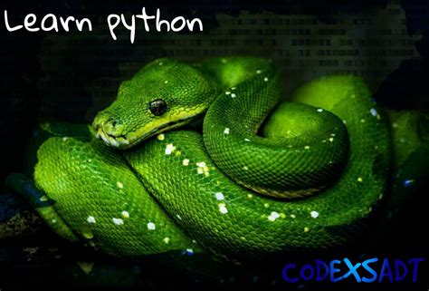 Python File Read And Write Method