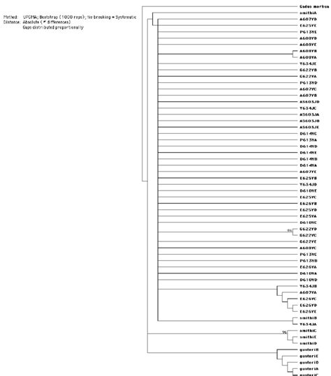 Unweighted Pair Group Method With Arithmetic Mean Upgma Tree Of An