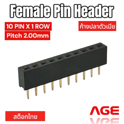 Female Pin Header 10 Pin 10pin X 1row Pitch 2 00mm ก้างปลาตัวเมีย Agebkk จำหน่ายและนำเข้า