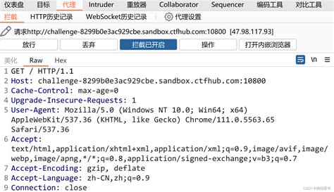 Ctfhub Rce Phpinputctfhub 文件包含phpiput Csdn博客