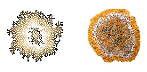 Lesson 5 Cellular Automata Unigis Module Spatial Simulation