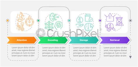Memorizing Information Process Rectangle Infographic Template Stock Vector 5534301 Crushpixel