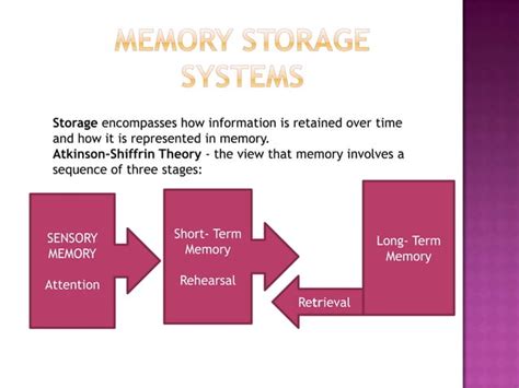 Memory And Thinking Pptx
