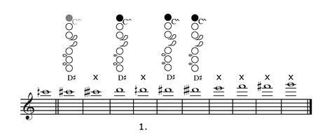The Kingma System Alto Flute A Practical Guide For Composers And Performers