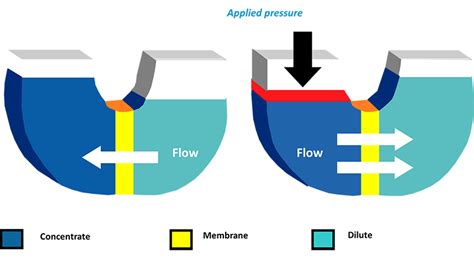 Reverse Osmosis Hortilife