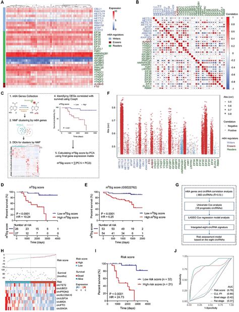 M6a Modification In Cll And A Risk Model Presented For M6a‐related