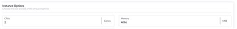 Update Rke2 Instance Options Default Values · Issue 4066 · Rancher