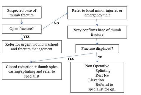 The Armdoc Base Of Thumb Fractures