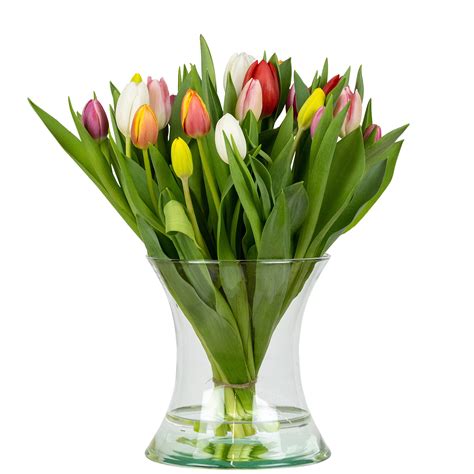 Tulpenvaas Anne Incl 20 Gemengde Tulpen Tulpenonline Nl