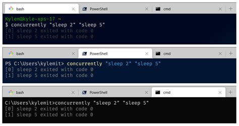Linux How Do I Run Multiple Background Commands In Bash In A Single Line Stack Overflow