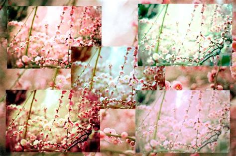 Gimp Curves By Xbeautifulliar On Deviantart Gimp Photo Editing Gimp