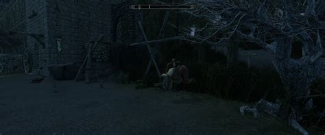 Zaz Animation Pack V Plus Page Downloads Skyrim Adult Sex Mods LoversLab