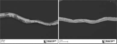 Metallurgical Lab Case Study Contaminant Identification Structural Integrity Materials Services