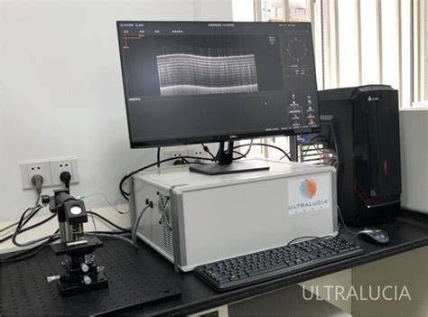 Ul D01 Type Optical Coherence Tomography System Download Scientific Diagram